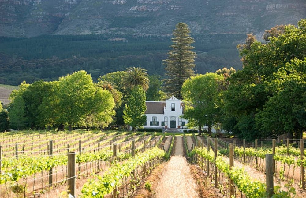 Cell Phone Boosters for Farming – Bolton Technical South Africa